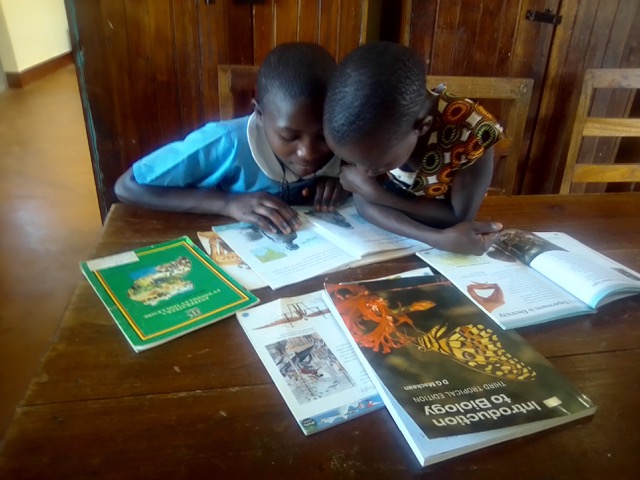 Reading in Kitengesa Library #Uganda – Friends of African Village Libraries