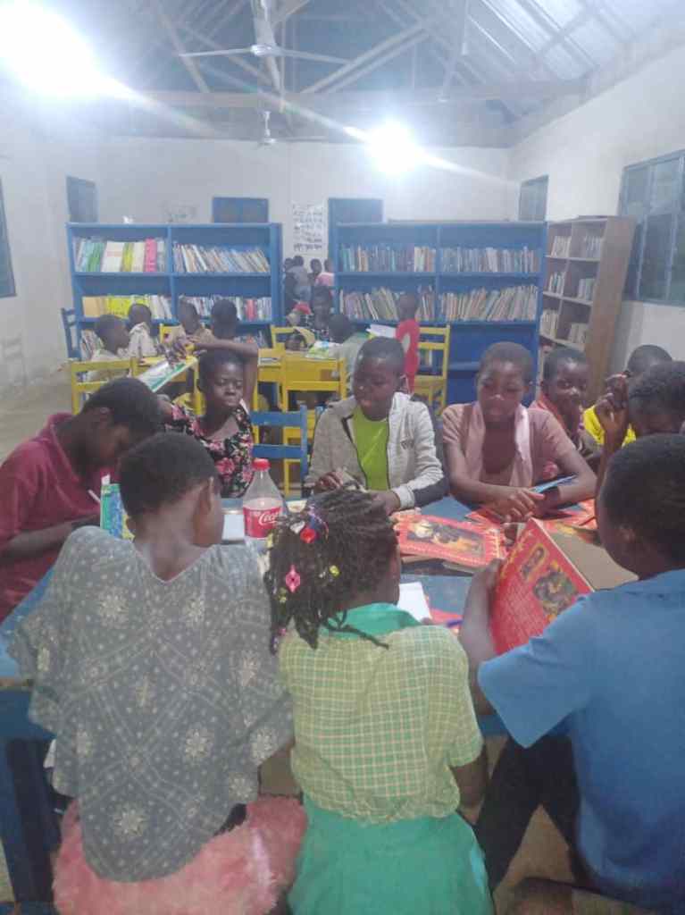 Friends of African Village Libraries – A library for every village in ...