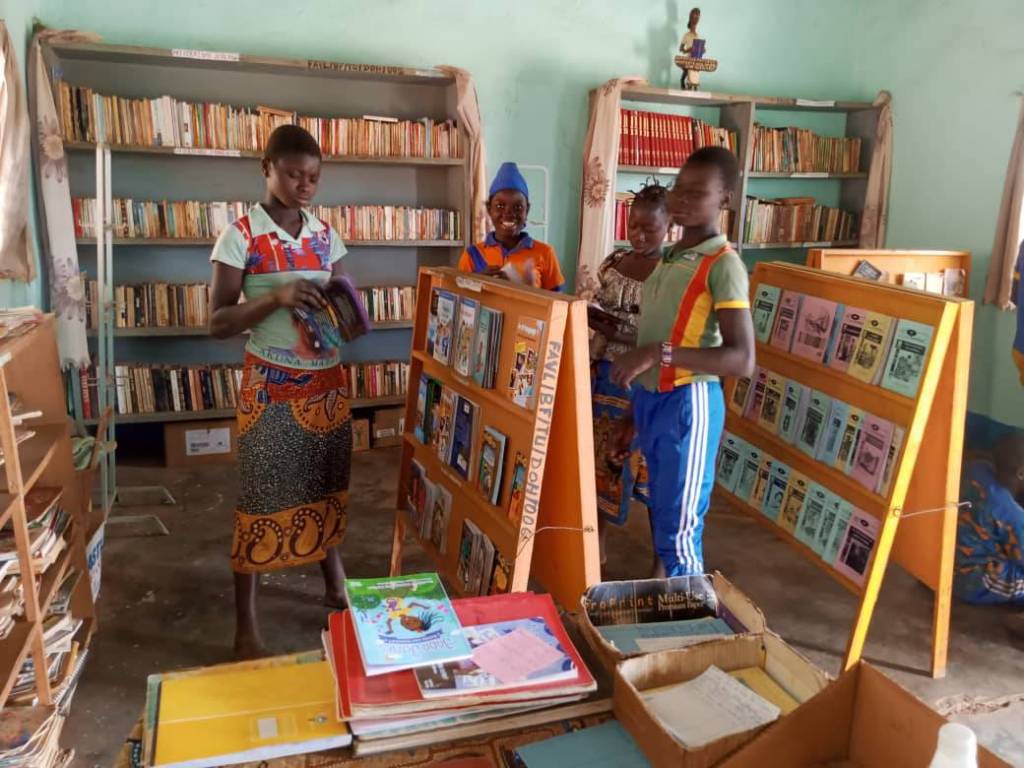 Friends of African Village Libraries – A library for every village in ...