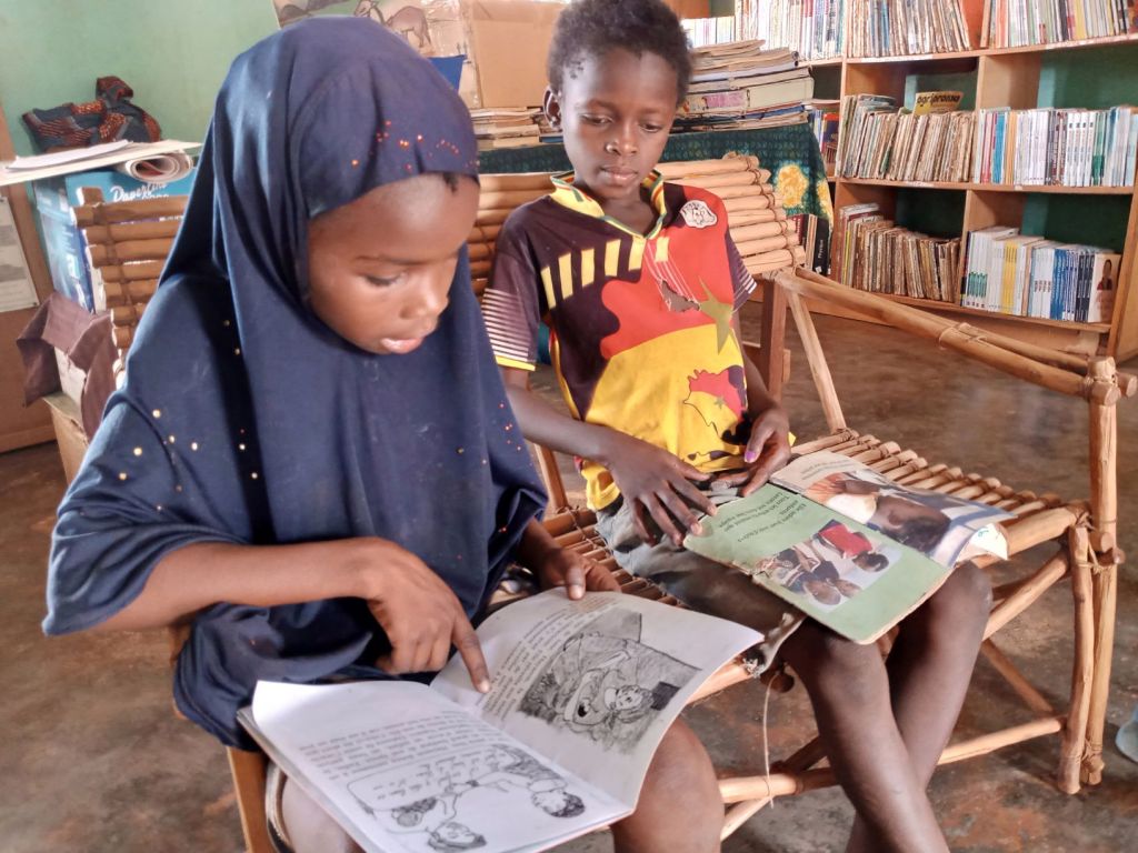 Friends of African Village Libraries – A library for every village in ...
