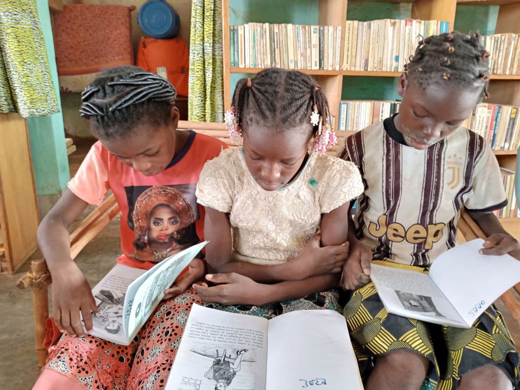 Friends of African Village Libraries – A library for every village in ...