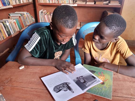 Friends of African Village Libraries – A library for every village in ...