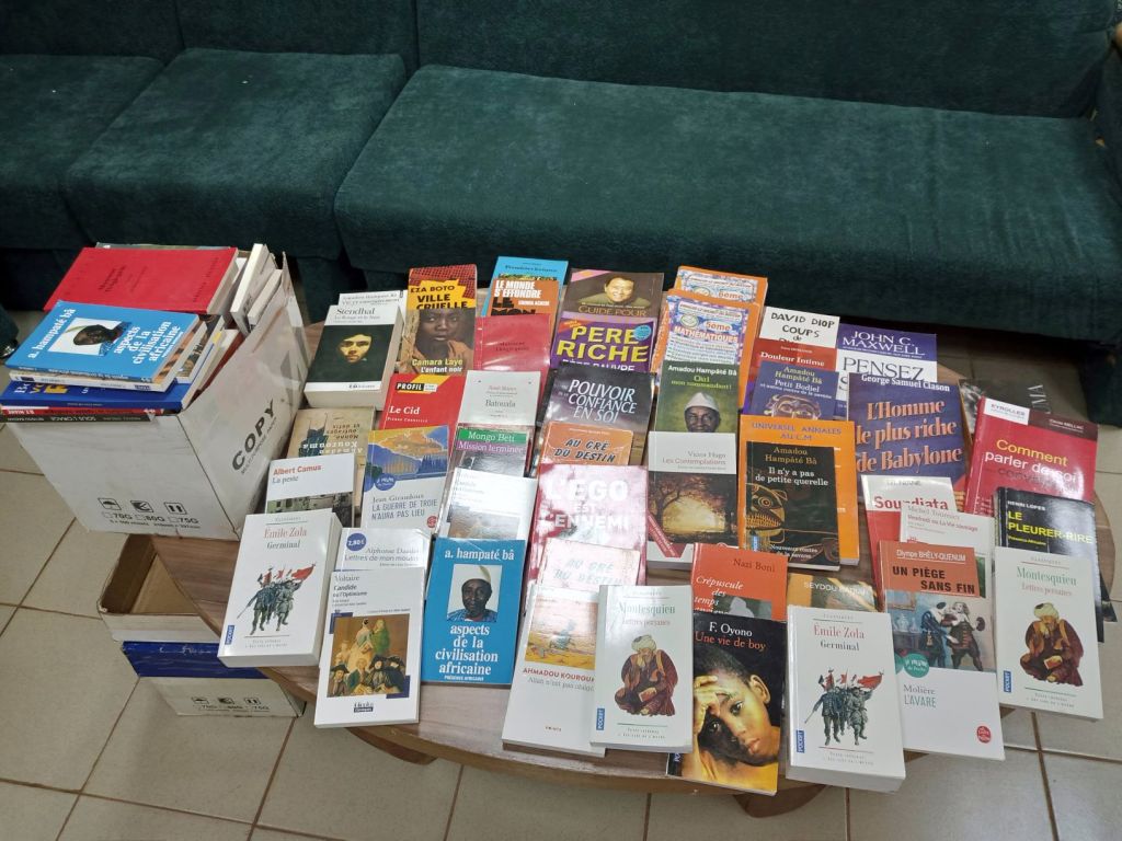Friends of African Village Libraries – A library for every village in ...