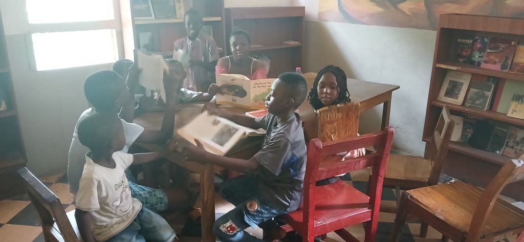Friends of African Village Libraries – A library for every village in ...