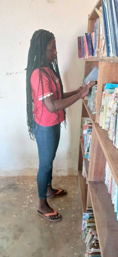 Friends of African Village Libraries – A library for every village in ...