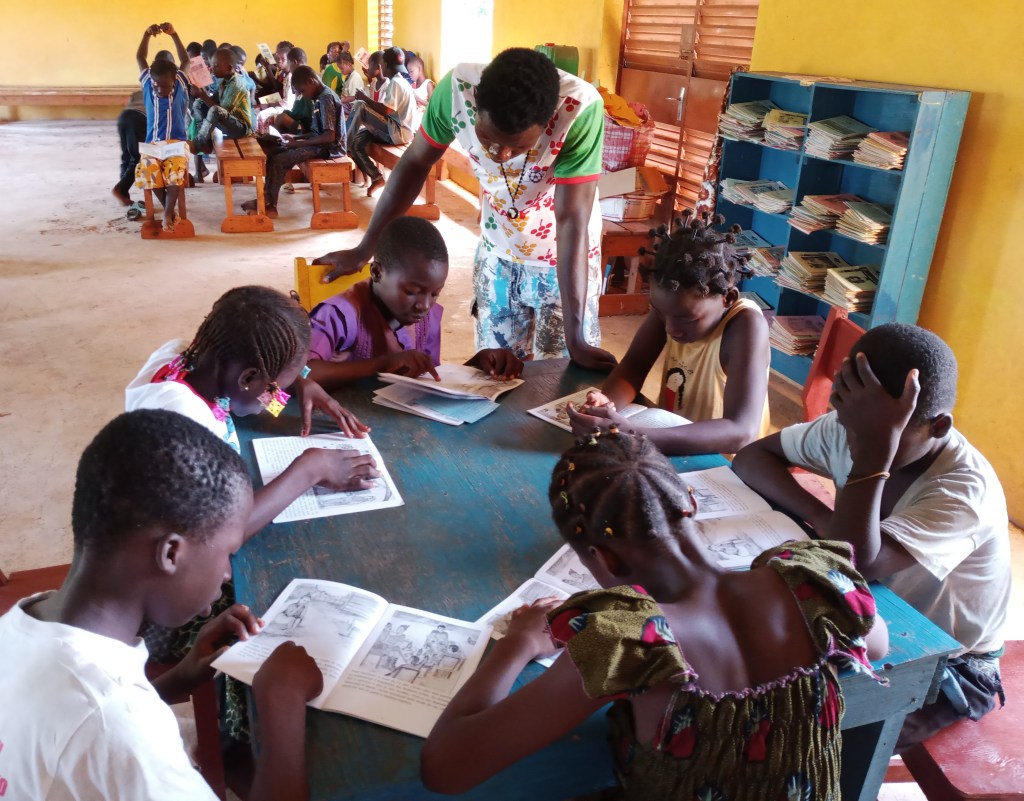 Friends of African Village Libraries – A library for every village in ...