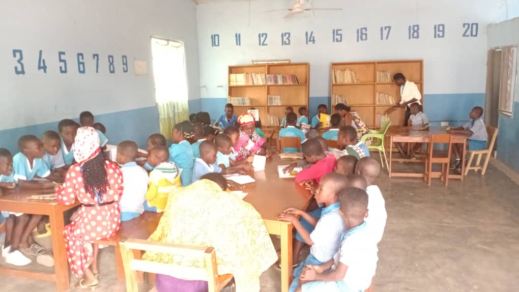 Friends of African Village Libraries – A library for every village in ...