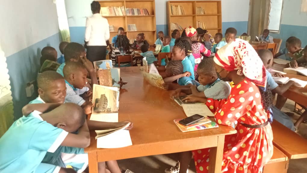 Friends of African Village Libraries – A library for every village in ...