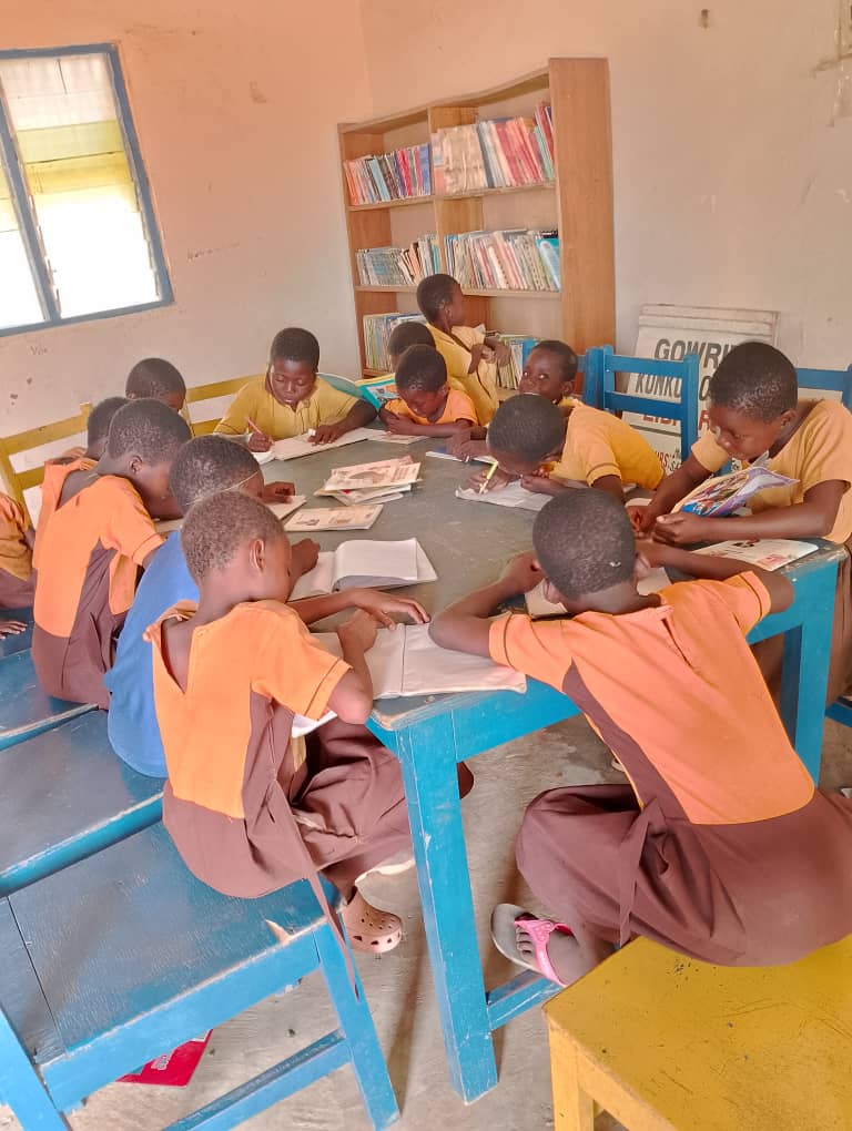 Friends of African Village Libraries – A library for every village in ...