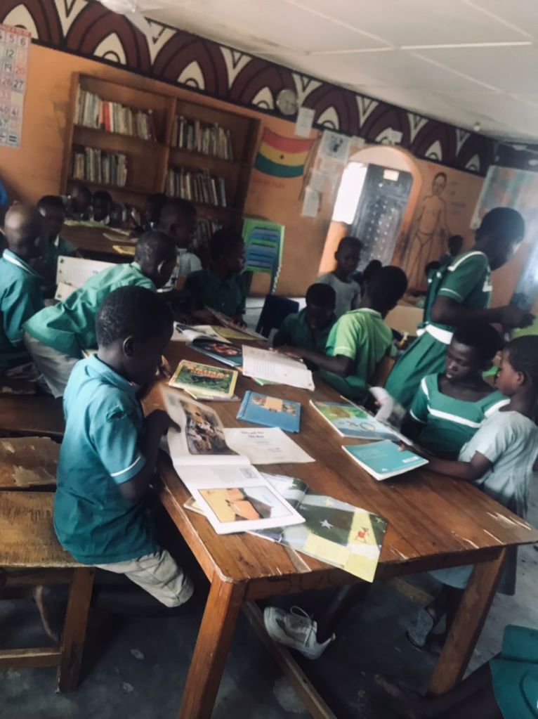 Friends of African Village Libraries – A library for every village in ...
