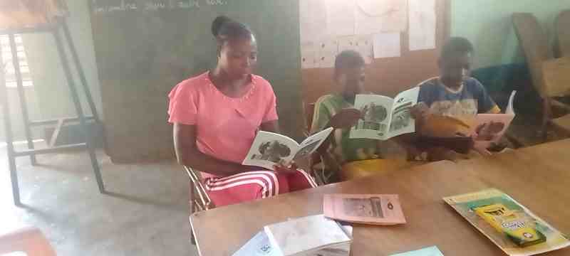 Friends of African Village Libraries – A library for every village in ...